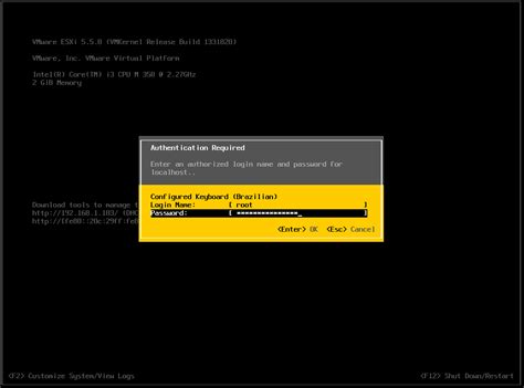 Vmware Habilitar Ssh No Esxi 55 Purainfo