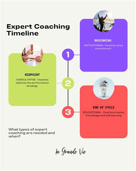 What Types Of Expert Coaching Are Needed And When Motivation Learning Coaching
