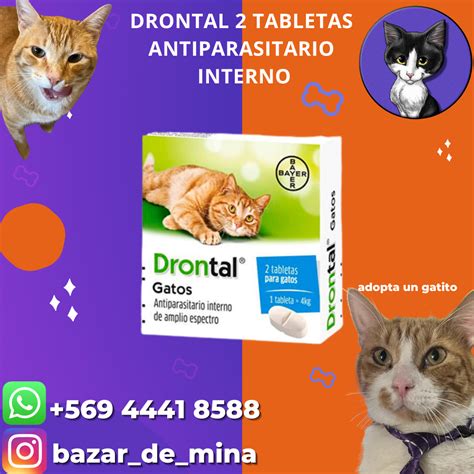 Drontal 2 Comprimidos