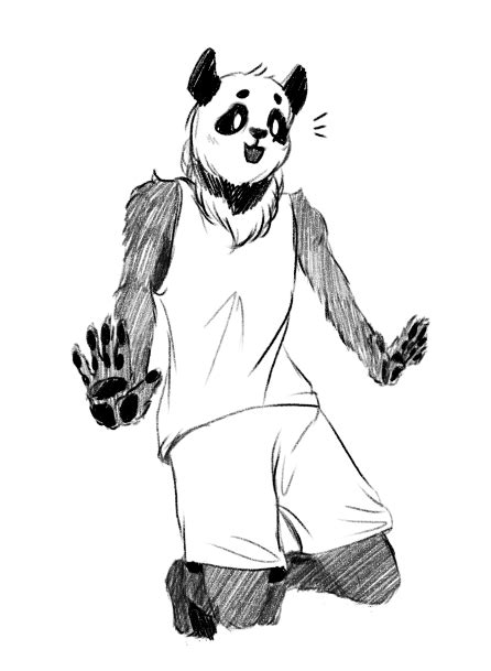 Trying To Learn To Draw Furries First Attempt A Panda Link Me Some Tuts Artists Or Just