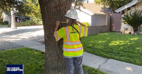 La Tree Inventory Davey Tree