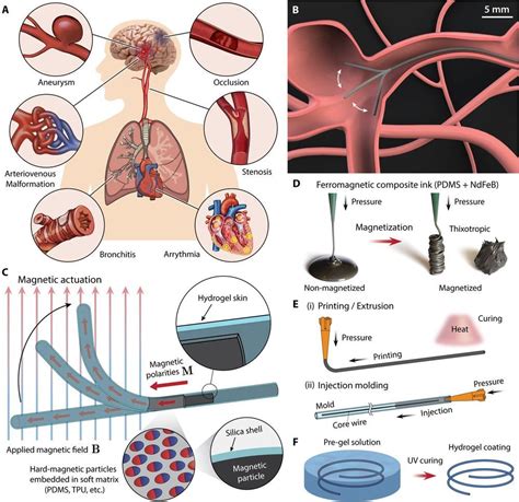Ferromagnetic Soft Continuum Robots Lifeboat News The Blog