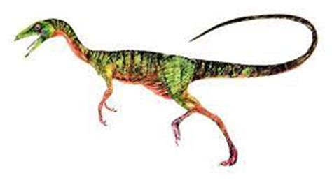 Procompsognathus Dinosaur Facts Habitat Procompsognathus Dinosaur Facts Habitat