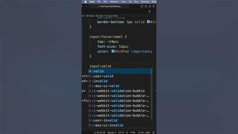 Make Input Label Slide Up As You Type With Css Youtube