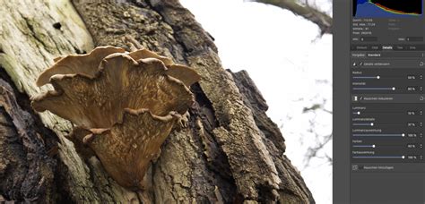 Lost Sharpness Archive Photo Beta On Macos Threads Affinity Forum