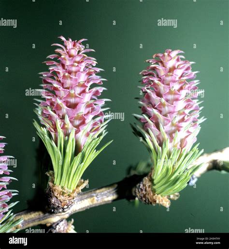 Color Sync Hi Res Stock Photography And Images Alamy