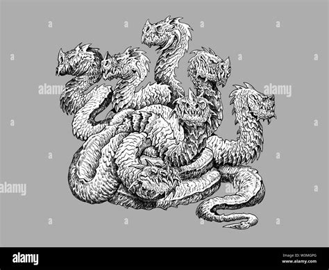 Hydra Greek Mythology Drawing