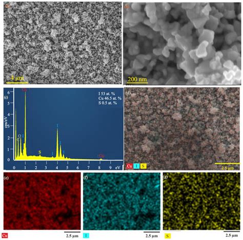 Chemosensors Special Issue Functional Nanomaterial Based Gas