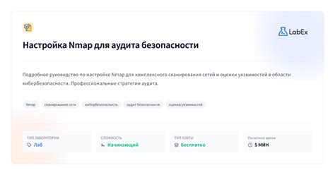 Настройка Nmap для аудита безопасности сети Labex