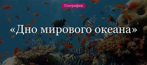 Дно мирового океана (6 класс) – основные части, срединно-океанические ...