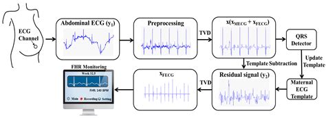 Sequential Total Variation Denoising For The Extraction Of Fetal Ecg