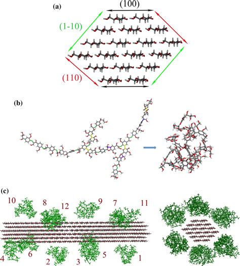A Cellulose Iβ Fibril Slice Highlighting The Potential Crystalline