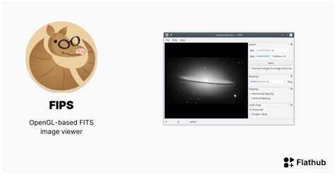 Install Fips On Linux Flathub