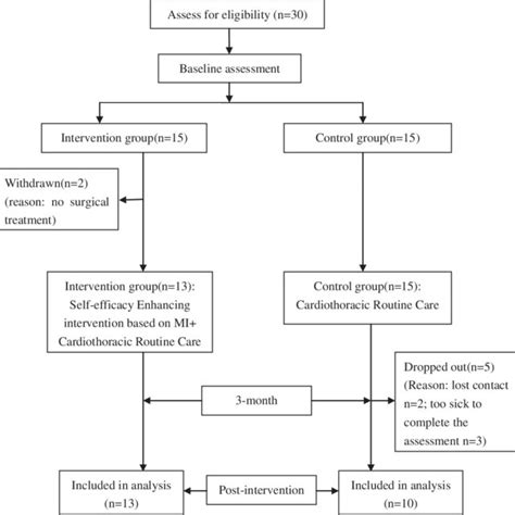 Flowchart Of The Pilot Randomized Controlled Trial Download