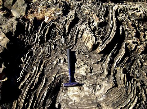 61 Type 3 Interference Pattern Of Folds In Calc Schist In Plan View