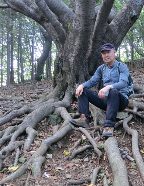 대구 도동 출토 금동약사여래입상