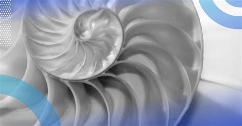 What Is The Fibonacci Sequence Definition Formula Built In