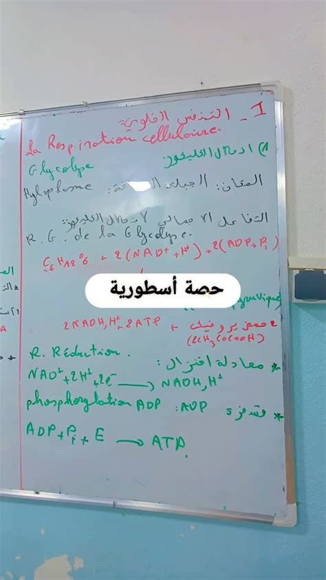 prf omar el mahjoubi proof svt omar instagram photos and videos