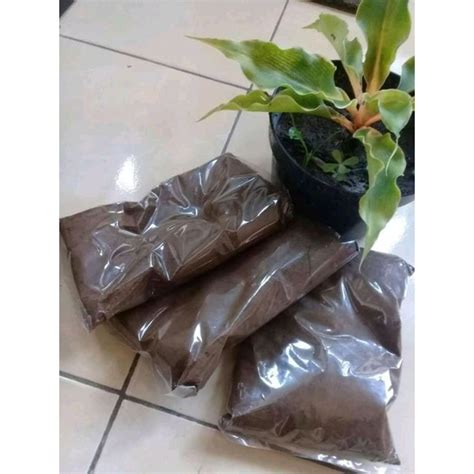 Jual Bubuk Kopi Nangka 200gram Shopee Indonesia