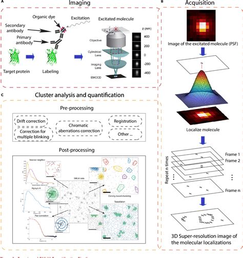 Figure From A Review Of Super Resolution Single Molecule Localization Microscopy Cluster
