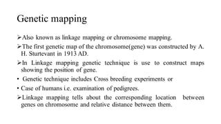 Gene Mapping Pdf