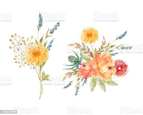 흰색 배경에 노란색 꽃 수채화 그림과 섬세한 꽃다발의 세트 손으로 그린 국화에 대한 스톡 벡터 아트 및 기타 이미지 국화