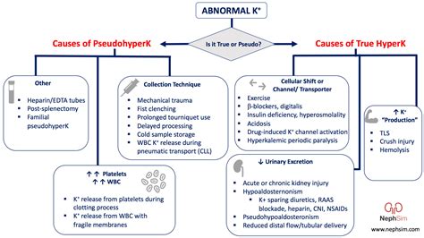 Hyperkalemia Differential Diagnosis Algorithm Hyperkalemia Grepmed