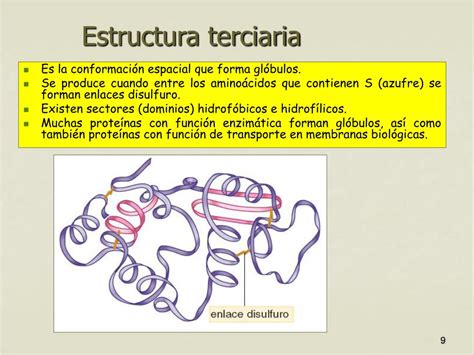 Ppt Unidad 3 Powerpoint Presentation Free Download Id 6073303