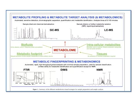 Metabolomics Pot