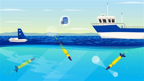 The Importance Of Ocean Monitoring Voice Of The Ocean