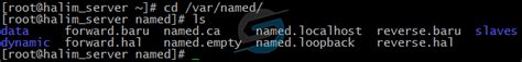 Membuat Buah DNS Pada Web Server CentOS Blog Abdul Halim