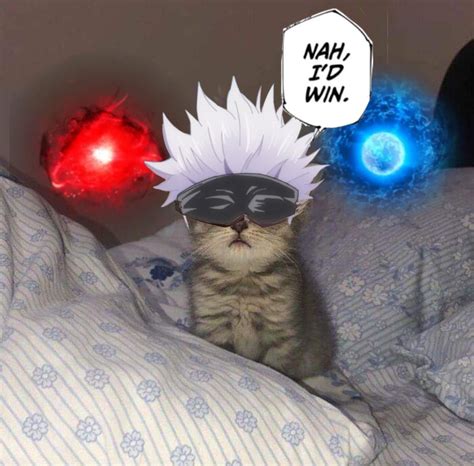 Cat Gojo Cat Pfp Anime Cats Anime Kitten