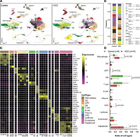 Figure 1 From Single Cell Transcriptomic Analysis Reveals Macrophage