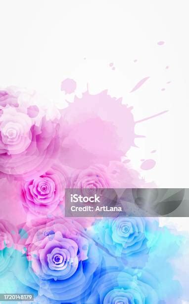 수채화 물감의 화려한 물보라와 장미 꽃이 있는 추상적인 배경 핑크와 블루 색상 당신의 디자인을 위한 템플렛 결혼식 초대장 인사말 카드 포스터 등과 같은 결혼식에 대한 스톡