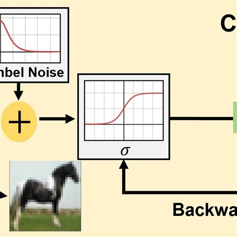 Forward And Backward Propagation In Cg Forward And Backward Paths