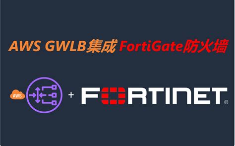 Aws Vpc 流量集中检测系列 3 Aws Gwlb集成fortigate防火墙