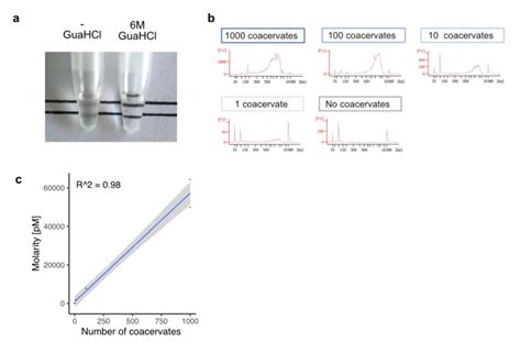 Fig S1 Rna Extraction And Library Preparation From Sorted Coacervate