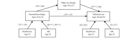 Tested Model Of The Mediated Effect Of The Proportion Of Other Sex