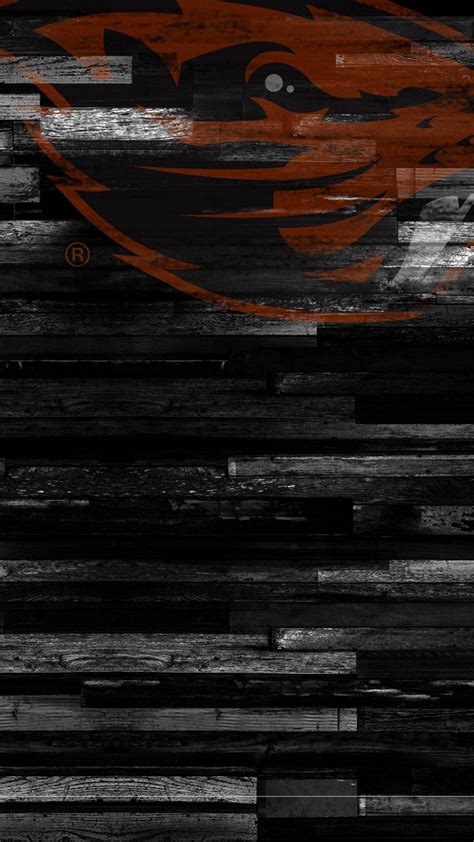 100 Oregon State University Wallpapers