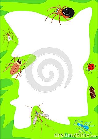 Bug Border Royalty Free Stock Images Image