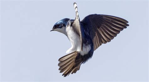 Small Sensor Photography By Thomas Stirr This Website Celebrates The Joy Of Photography And