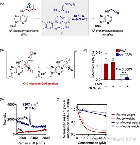 中国科学院化学所程靓acc Chem Res：化学工具驱动的rna表观修饰的调控与操纵 知乎