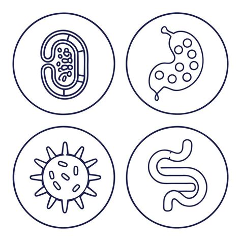 Digestive System Editable Stroke Outline Icons 56790098 Vector Art At Vecteezy