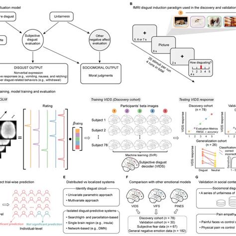 Disgust Evaluation Model Task Design And Analytic Workflow A