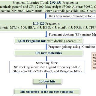 Schematic Diagram Of Workflow Download Scientific Diagram