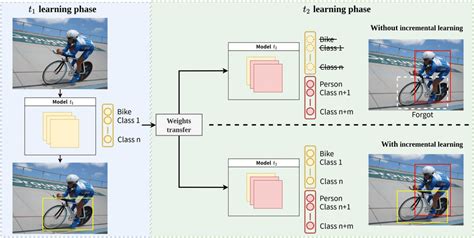 Incremental Learning Can Help Model Learn Additional Classes And
