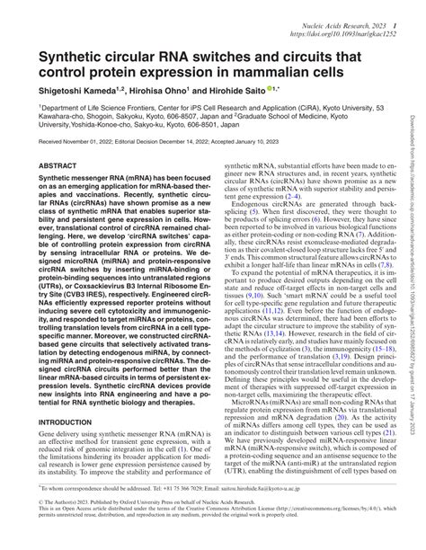 Pdf Synthetic Circular Rna Switches And Circuits That Control Protein