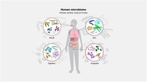 bioinformatics software a comprehensive guide
