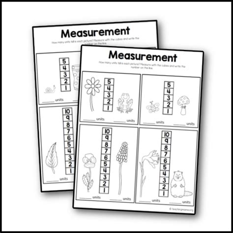 Measuring Objects Printables Club
