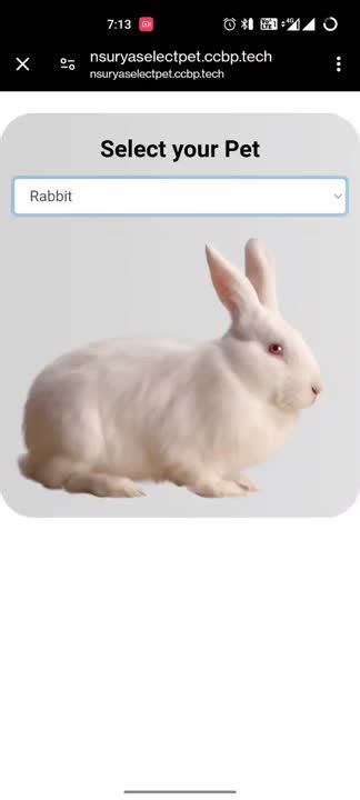 [video] nagula surya vamshi on linkedin 21dayscodechallenge nxtwave ccbp js html css